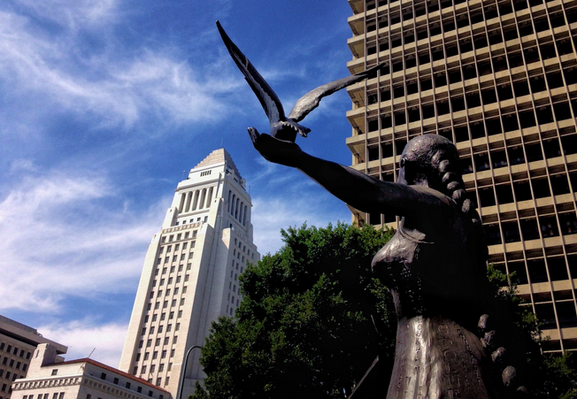 Local Government & Municipal Law | DSK Law